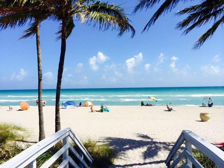 Top 5 Things To Do In Hollywood, Florida - Hollywood Florida